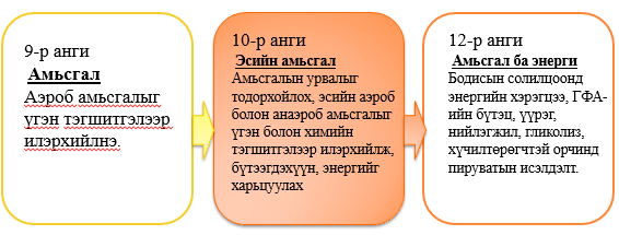 Мэдлээ | Цахим контент