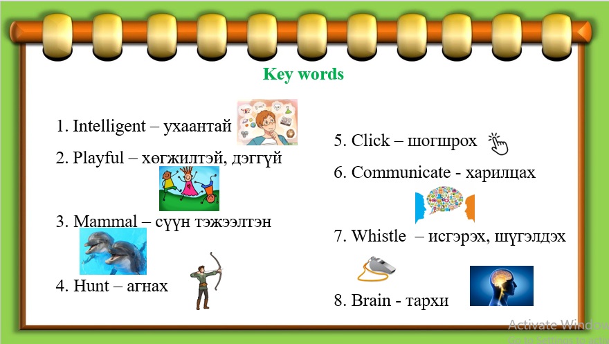 Мэдлээ | Цахим контент