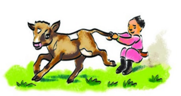 Мэдлээ | Цахим контент