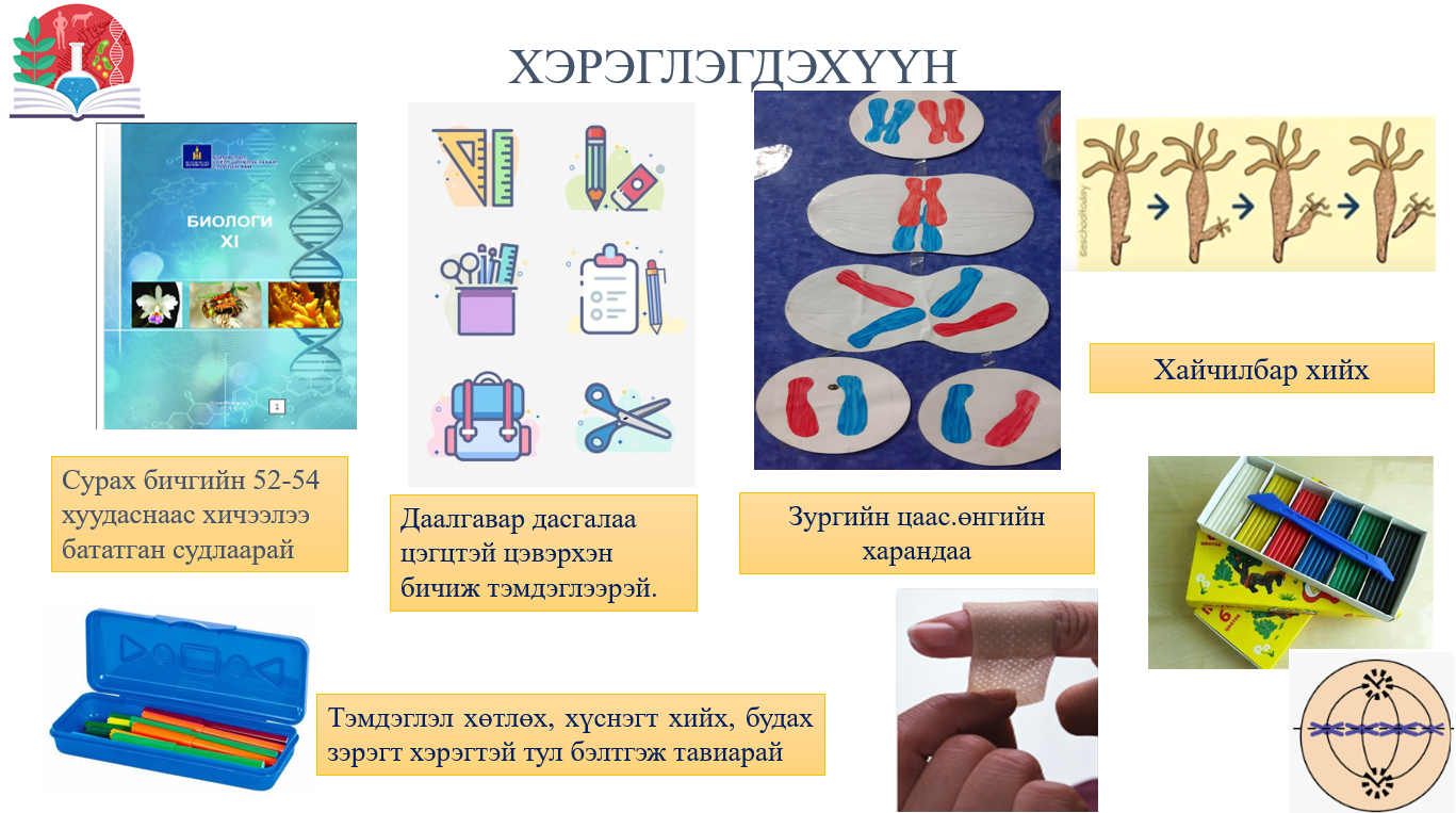 Мэдлээ | Цахим контент