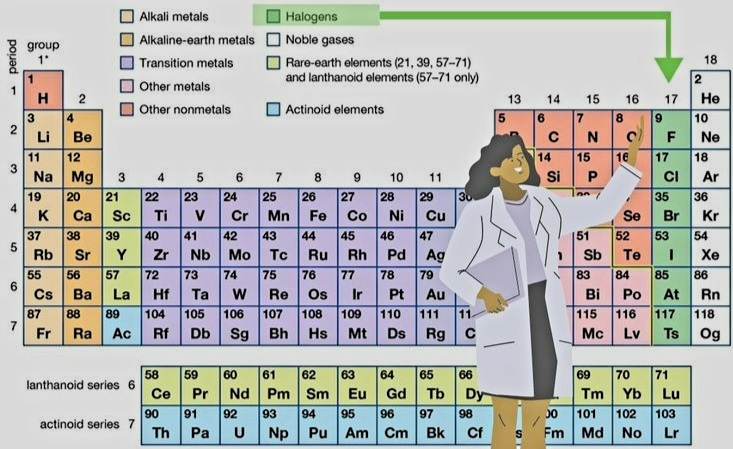 Мэдлээ | Цахим контент