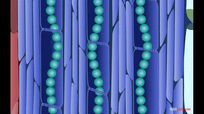 Мэдлээ | Цахим контент