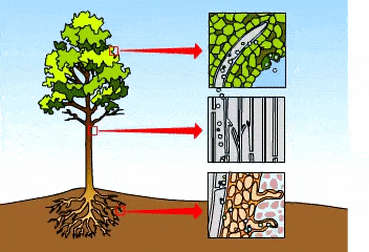Мэдлээ | Цахим контент