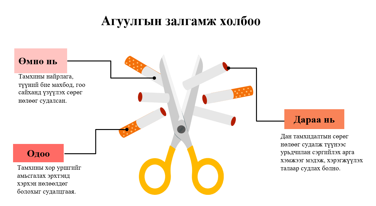 Мэдлээ | Цахим контент
